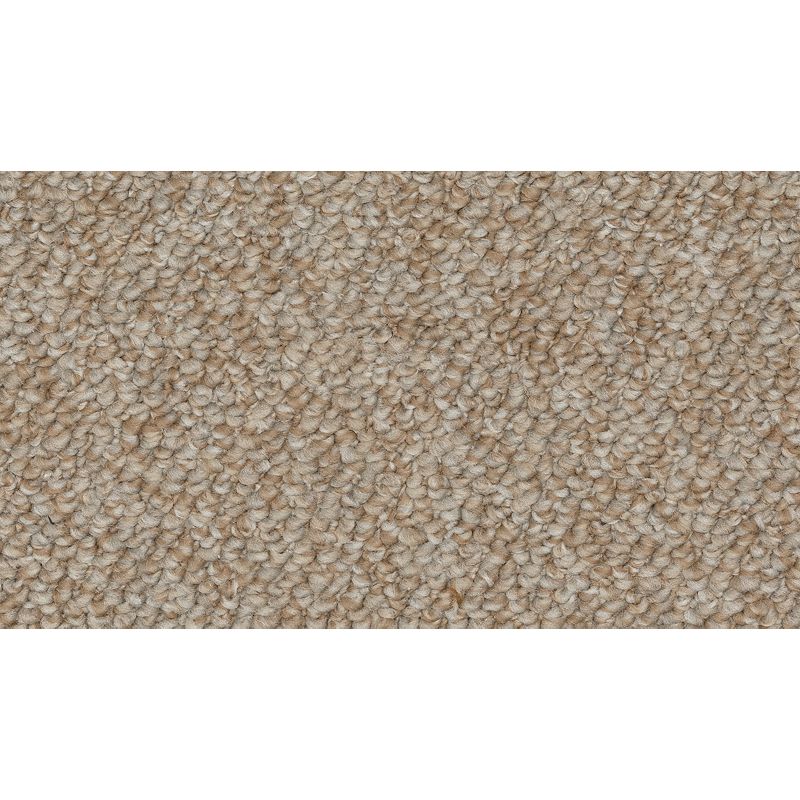 Mohawk Carpet 3H17 Enduring Amazement 800 Wrangler – Rotipla