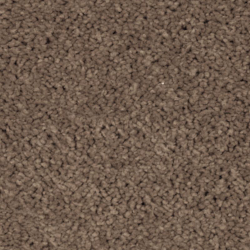 Mohawk Carpet 2N29 Natural Splendor II 516 Rich Earth – Rotipla