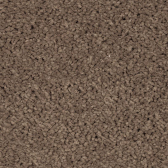 Mohawk Carpet 2N29 Natural Splendor II 516 Rich Earth – Rotipla