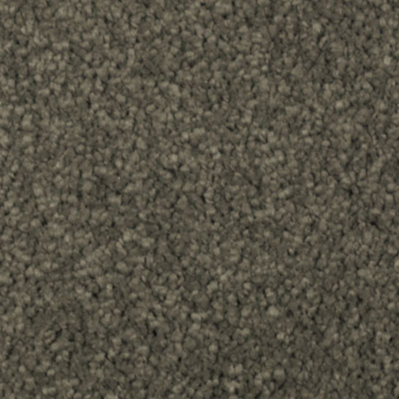 Mohawk Carpet 2N28 Natural Splendor I 540 Pine Needle – Rotipla