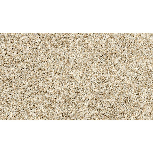 Mohawk Carpet 3M37 Purrsonality II 707 Coconut – Rotipla