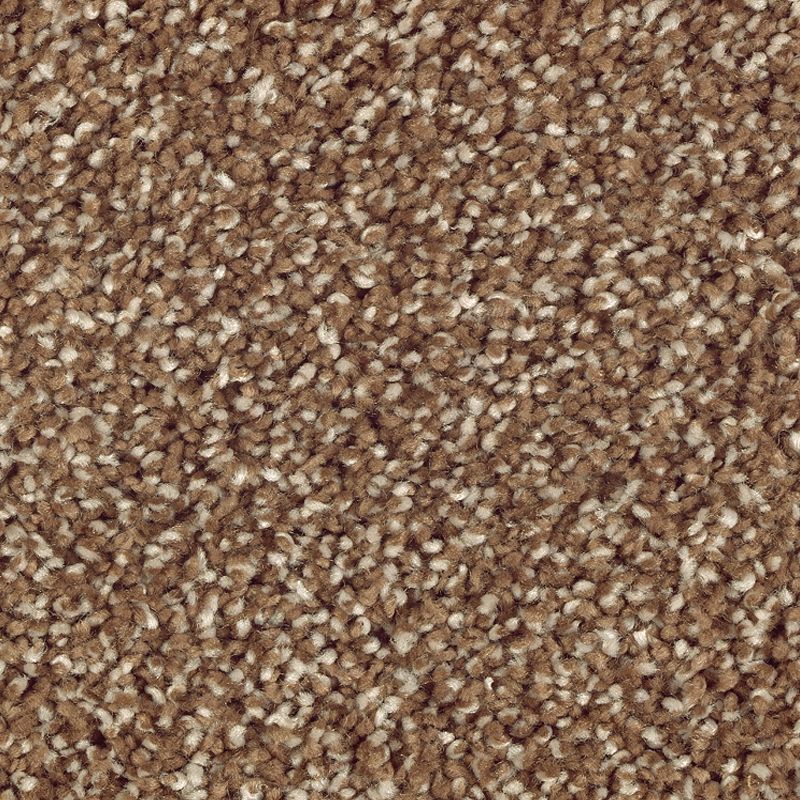 Mohawk Carpet 01P2 Stonington Manor II 508 Cat-Tail – Rotipla