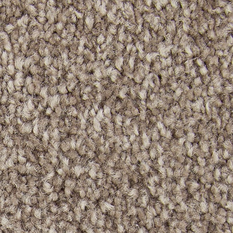Mohawk Carpet 3A05 Striking Option 559 Tudor – Rotipla